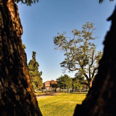 Home | Pietermaritzburg Girls’ High School